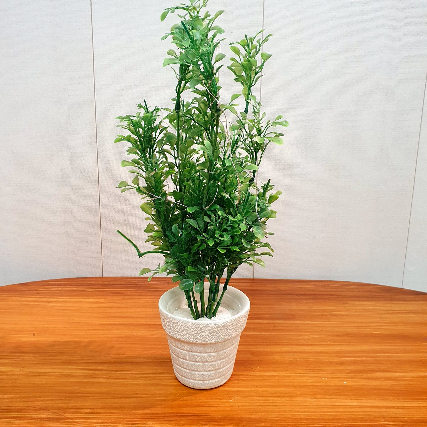 Collections – AJ Traders