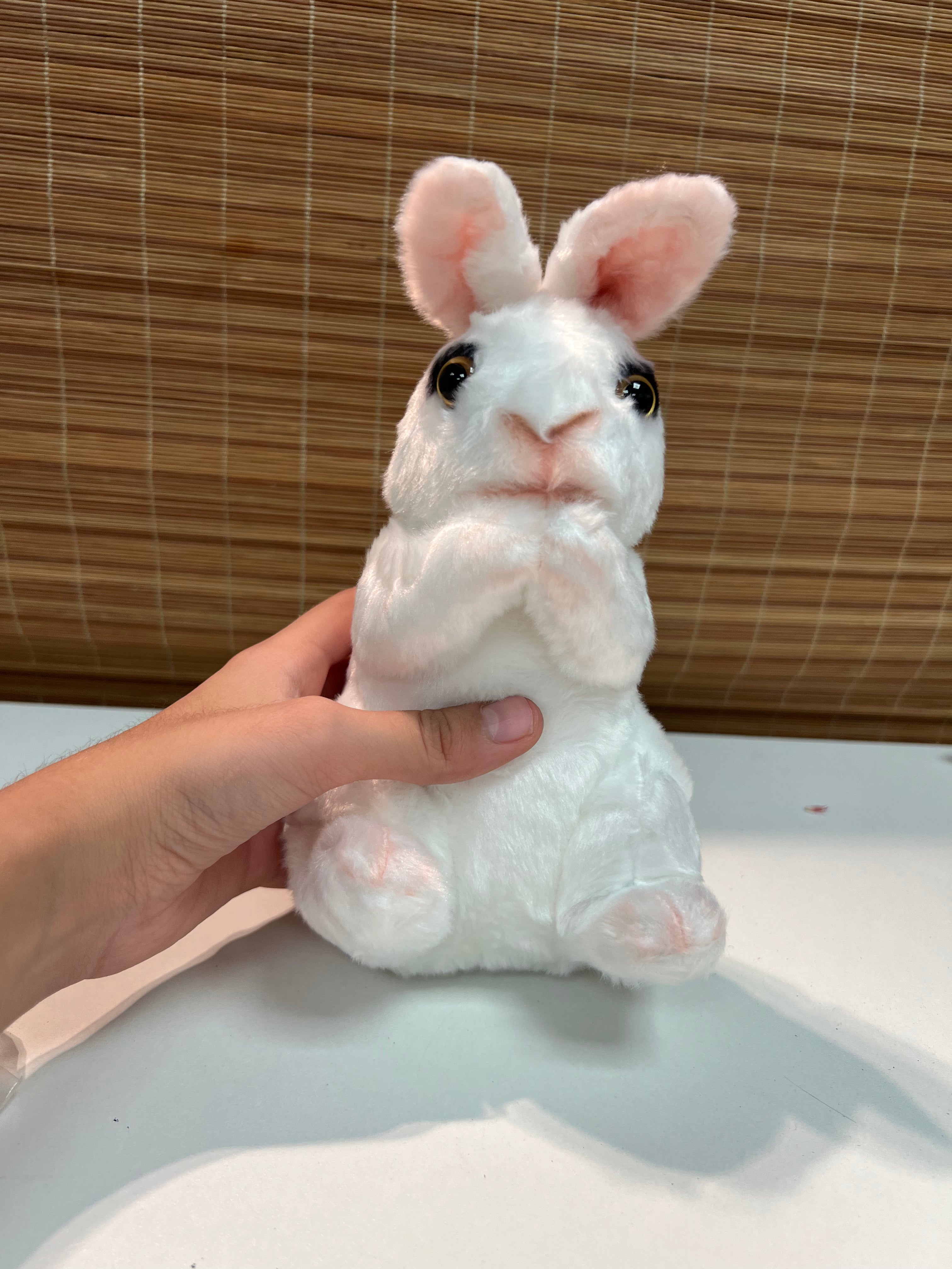 Battery operated rabbit – AJ Traders
